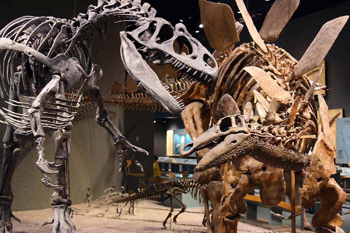 Student Tour: Denver Museum of Nature & Science • Canyon Ministries